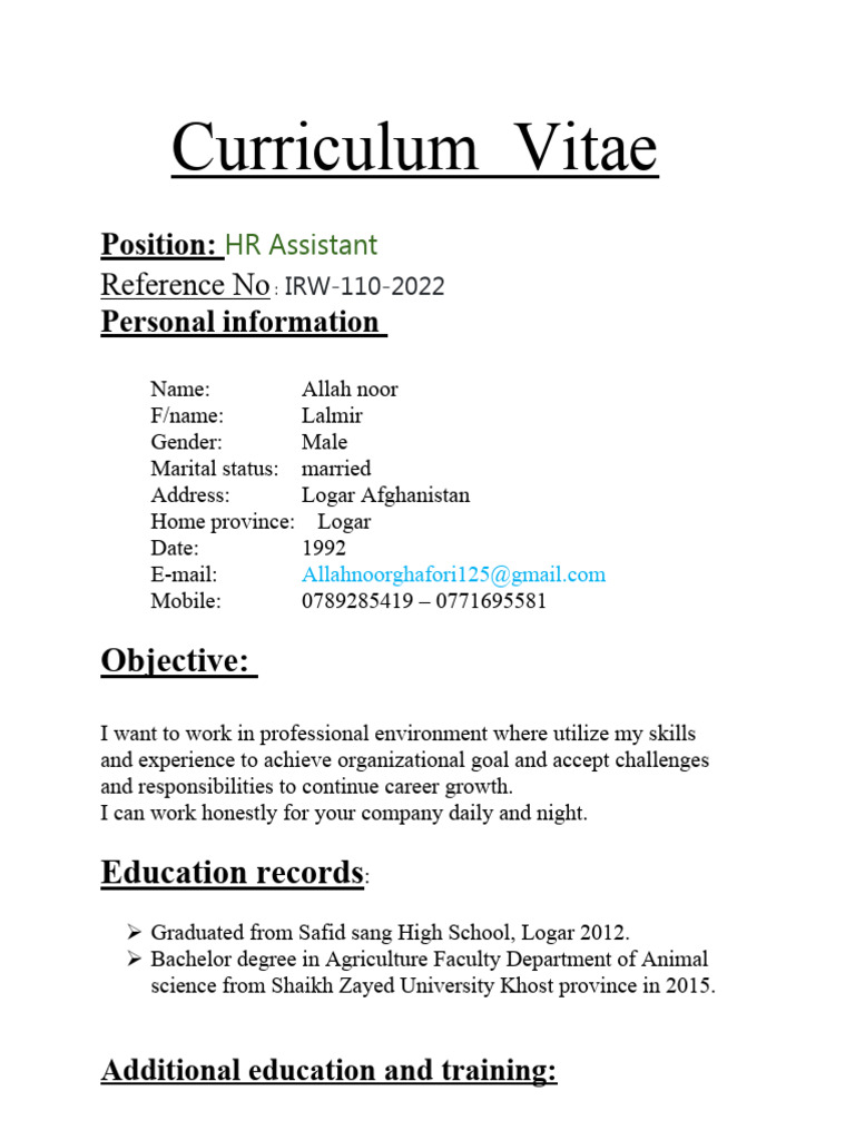 Allah Noor CV1 | PDF | Closed Circuit Television | Learning