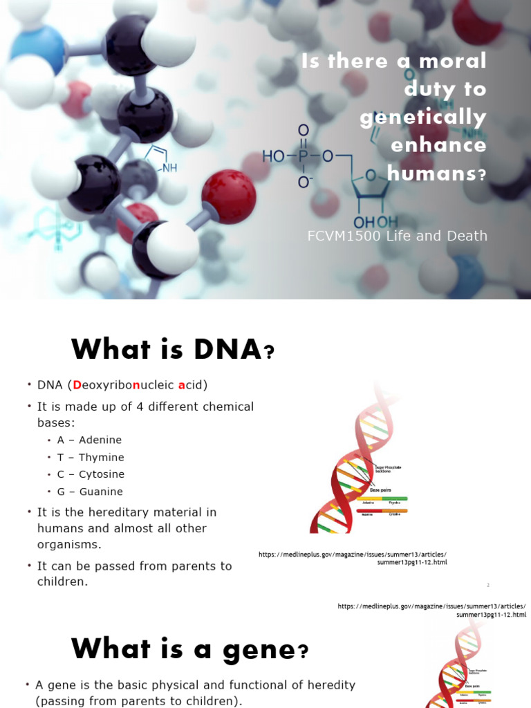 4 - Is There A Moral Duty To Enhance Humans - v3 | PDF | Gene | Dominance (Genetics)