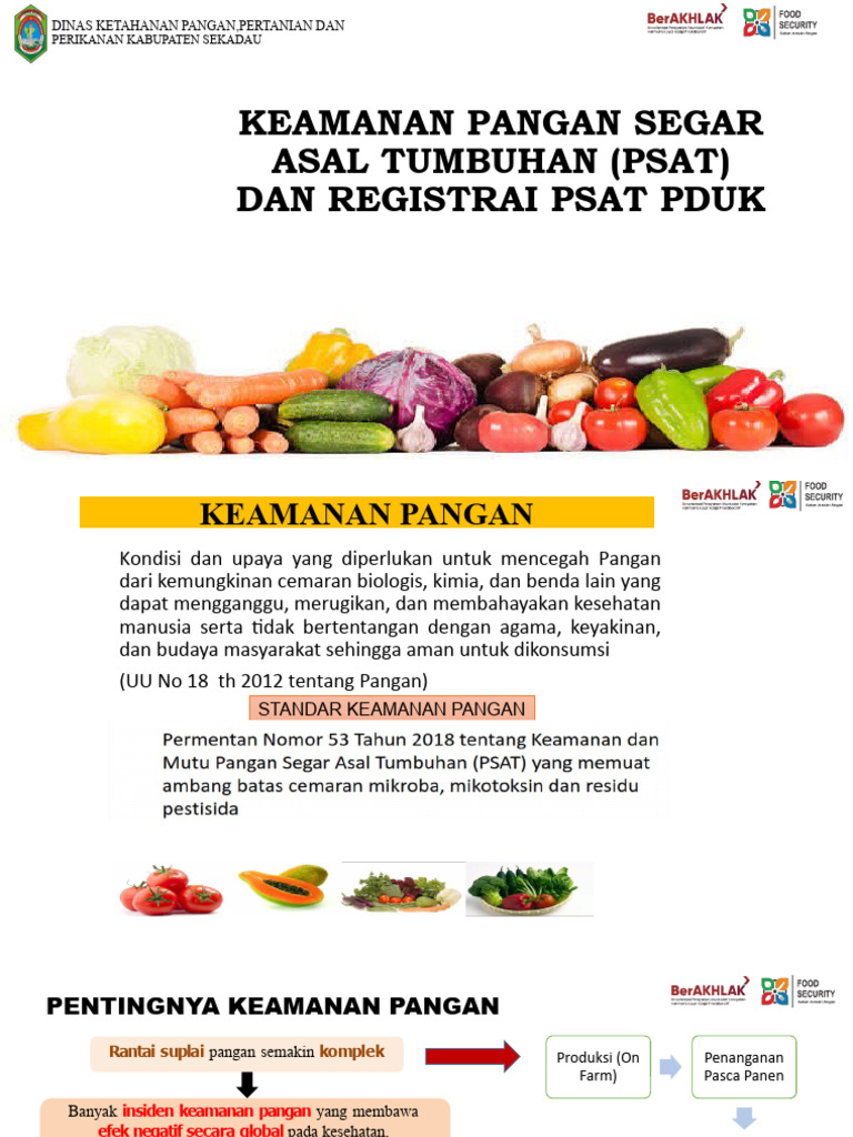 Registrasi PSAT PDUK dan Keamanannya | PDF