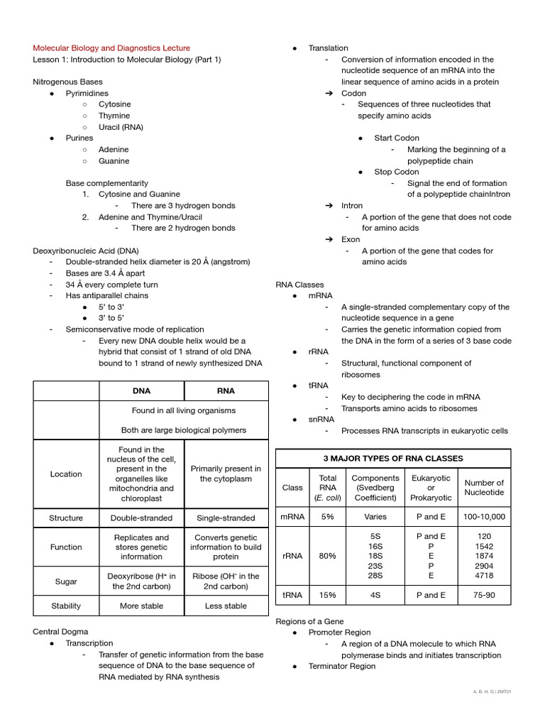 MolBio Lec Lesson 1 (Part 1) | PDF | Rna | Dna MolBio Lec Lesson 1 (Part 1) | PDF | Rna | Dna