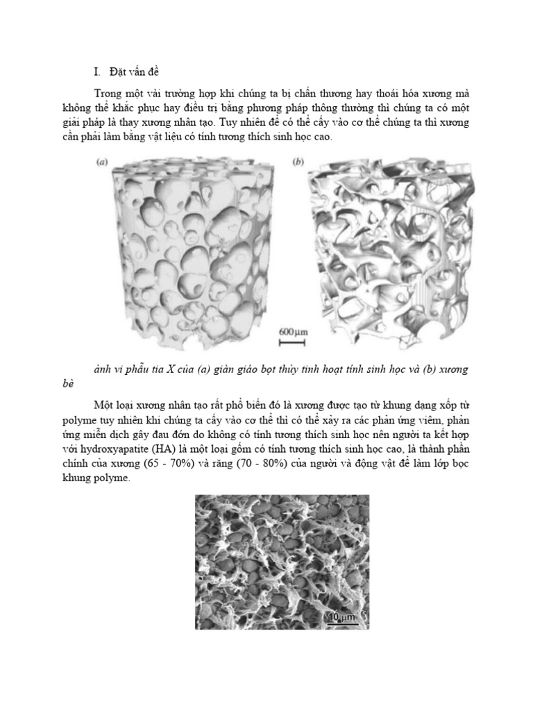 N14-Sol-Gel-Lưu Thái Nam-20206675 | PDF