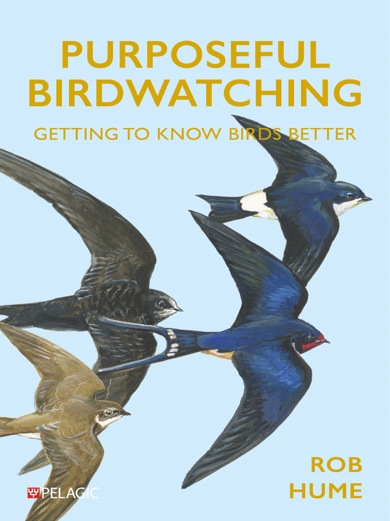 Purposeful Birdwatching - Contents and Sample Chapter | PDF ...