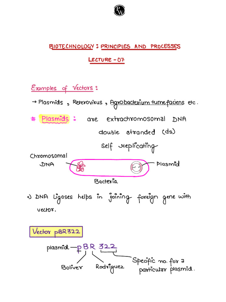 Biotechnology - Principles and Processes - Hand Written Notes (Of ...