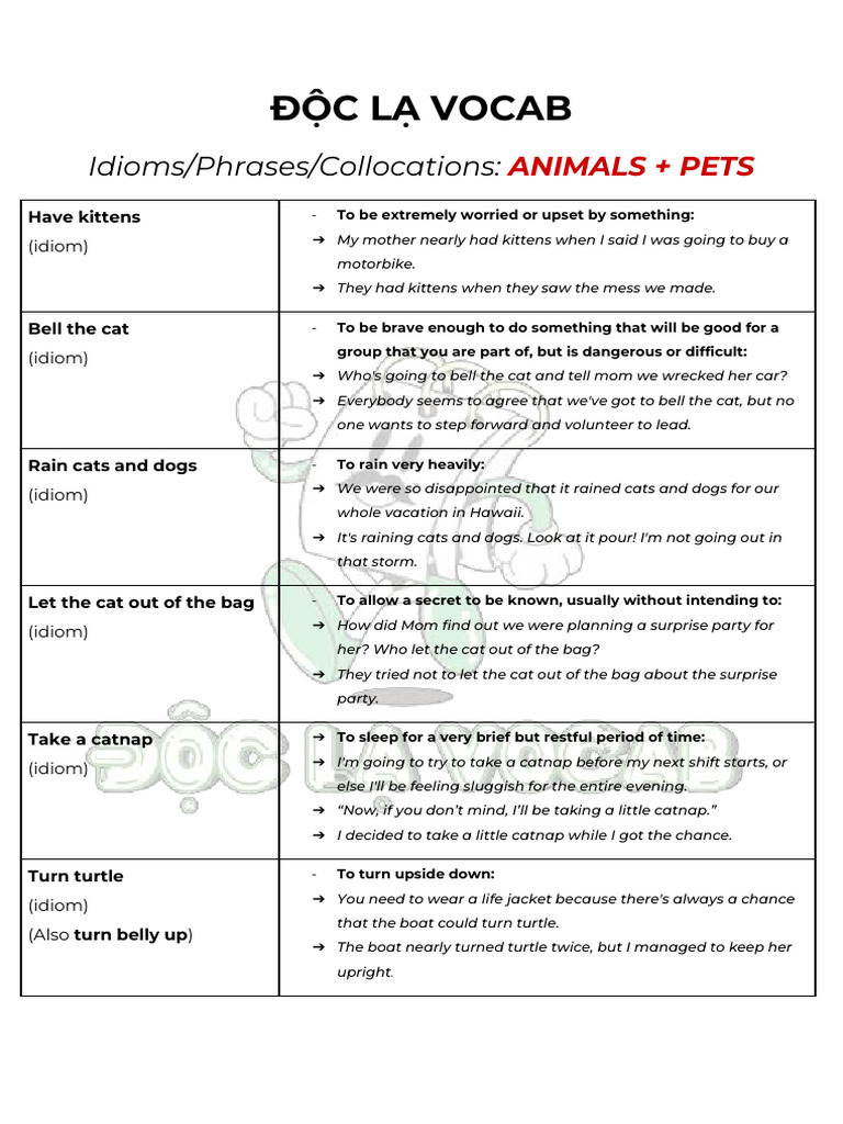 (ĐLV) 50 Idioms - Phrases - Collocations About - ANIMALS + PETS | PDF