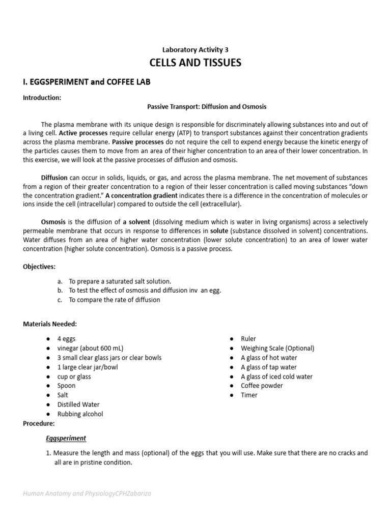 Egg Osmosis Experiment Overview | PDF