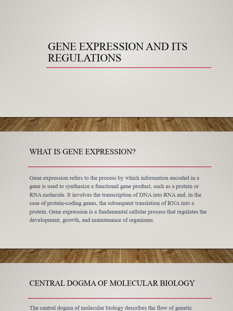 Gene Expression | PDF | Gene | Rna