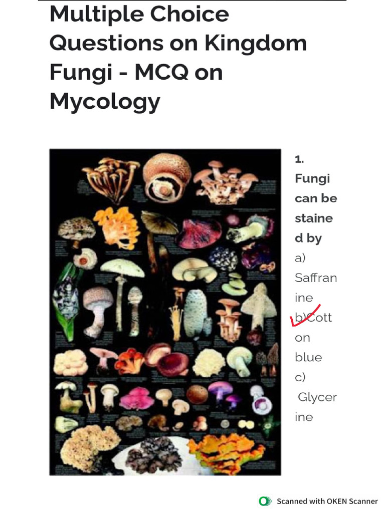 Mycology MCQ | PDF