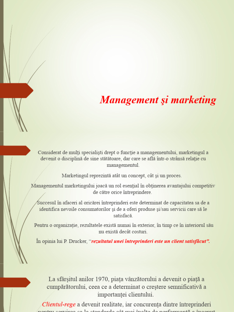 Management Si Marketing | PDF