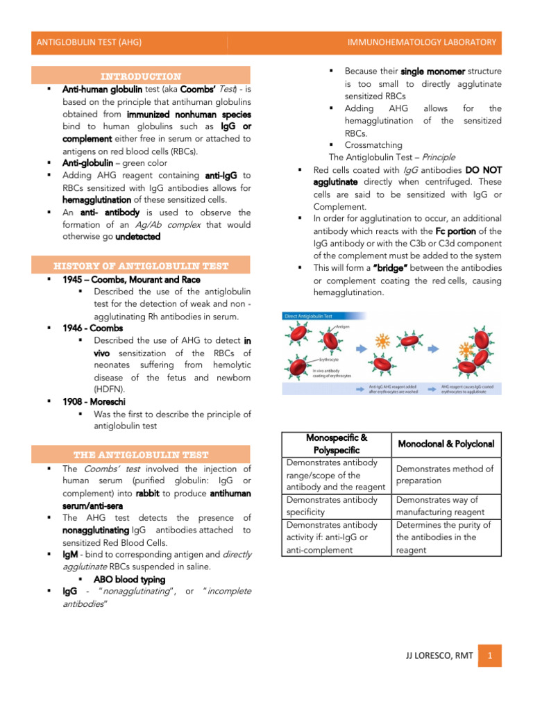 Ahg Notes | PDF | Antibody | Monoclonal Antibody