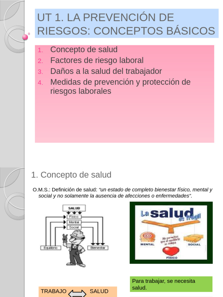 UT - 1 - Prevencion de Riesgos Laborales | PDF