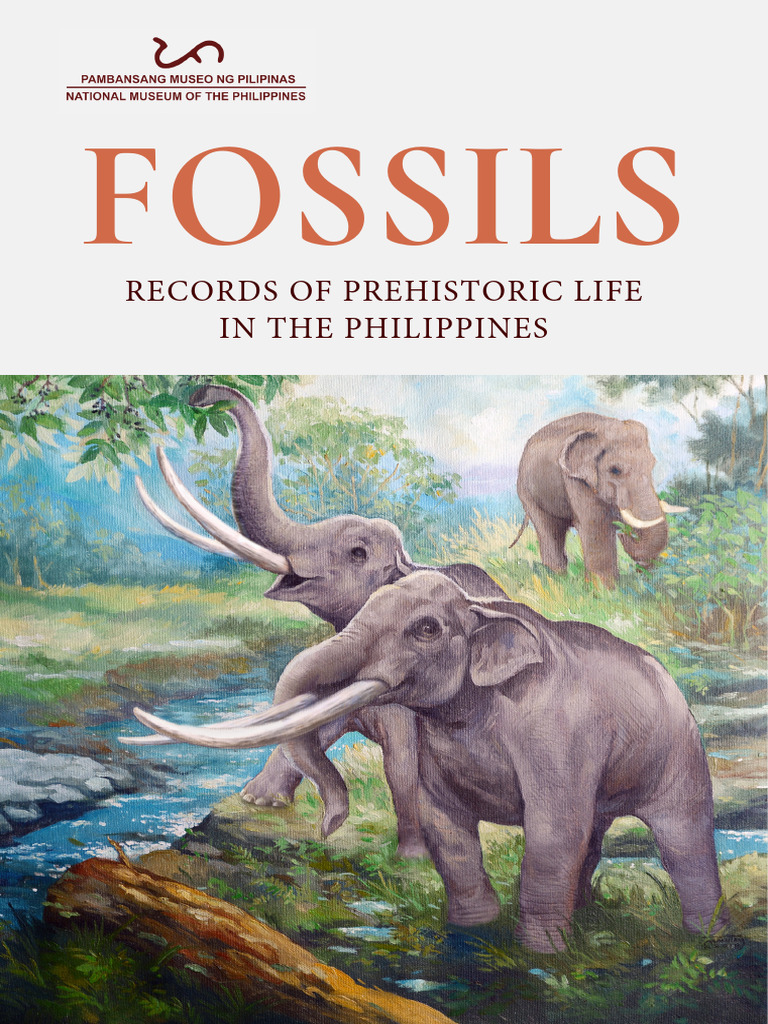 Fossils Records of Prehistoric Life 07292022 | PDF | Fossil | Geologic ...