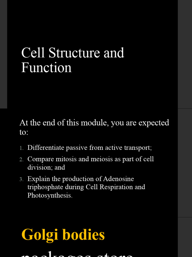 Cell Structure and Function | PDF