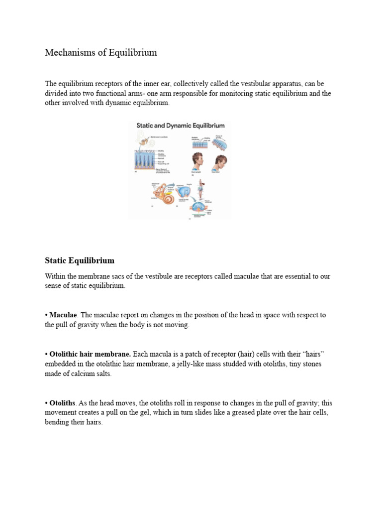 Mechanisms of Static and Dynamic Equilibrium | PDF