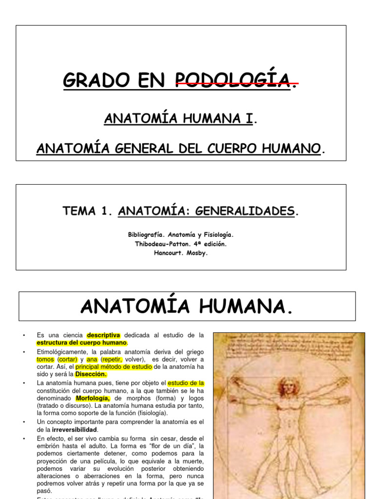 B1. Tema 1. Anatomia Generalidades | PDF