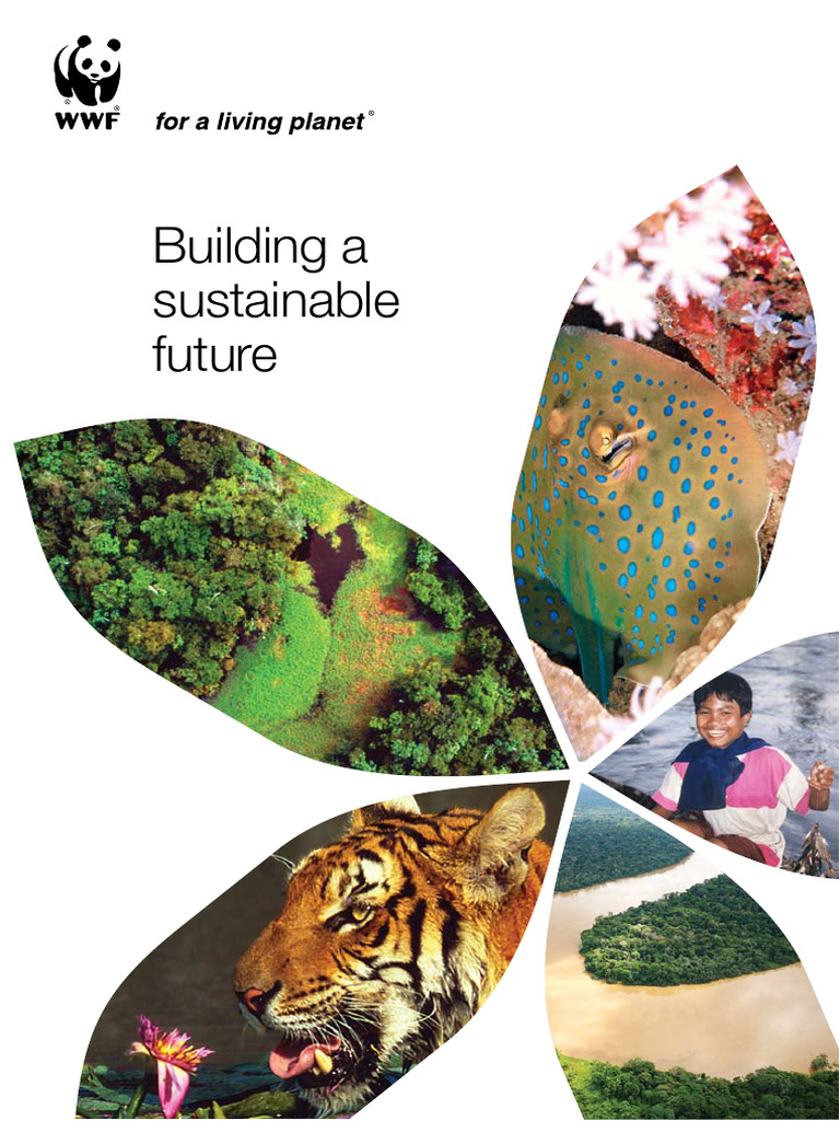 WWF Better Futures Sign Off | PDF | Conservation Biology | Forest ...
