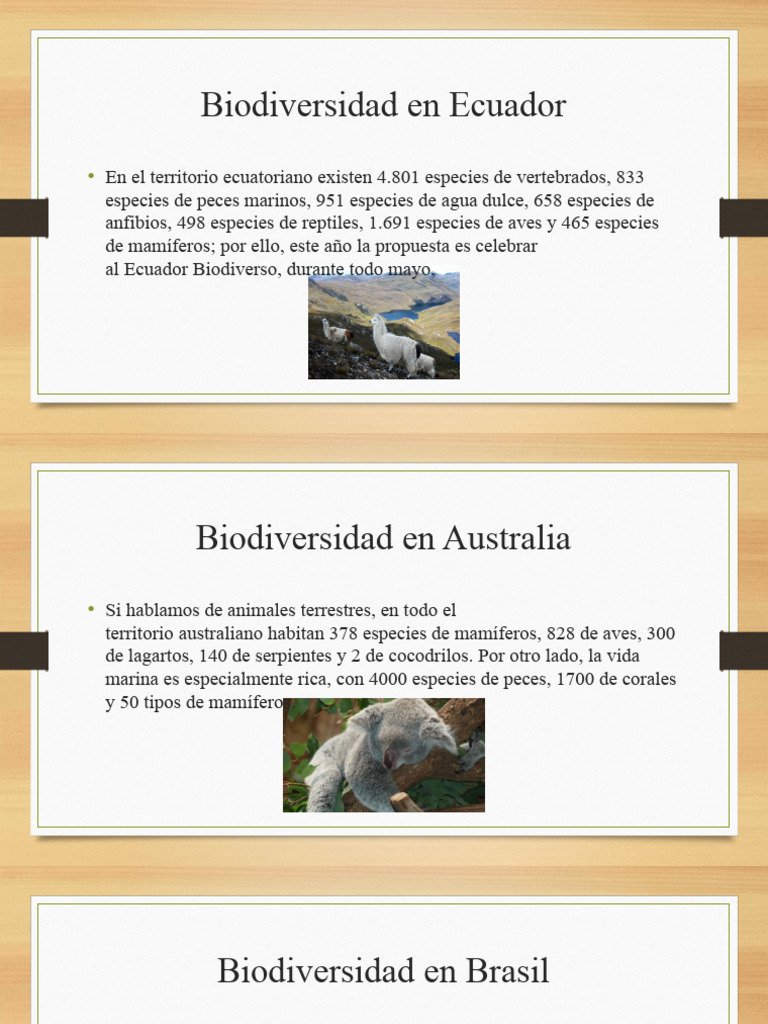 Bio Divers I Dad | PDF