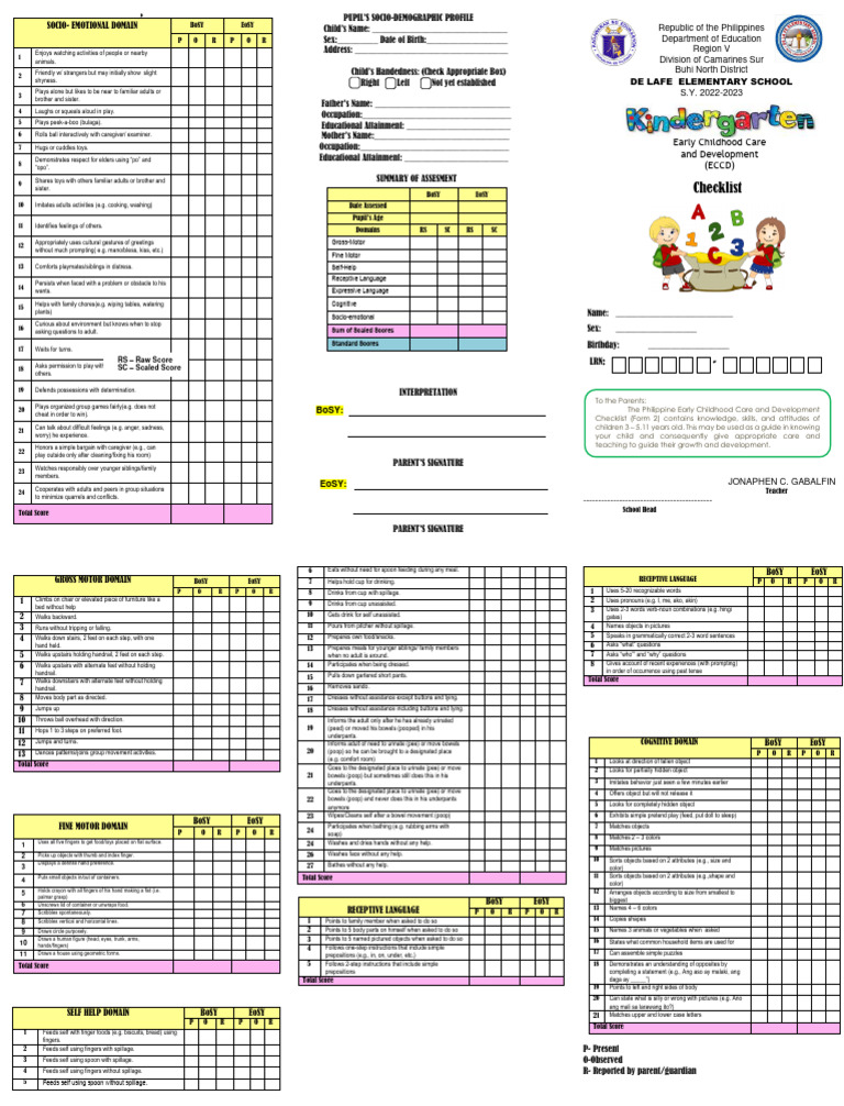 ECCD Checklist | PDF