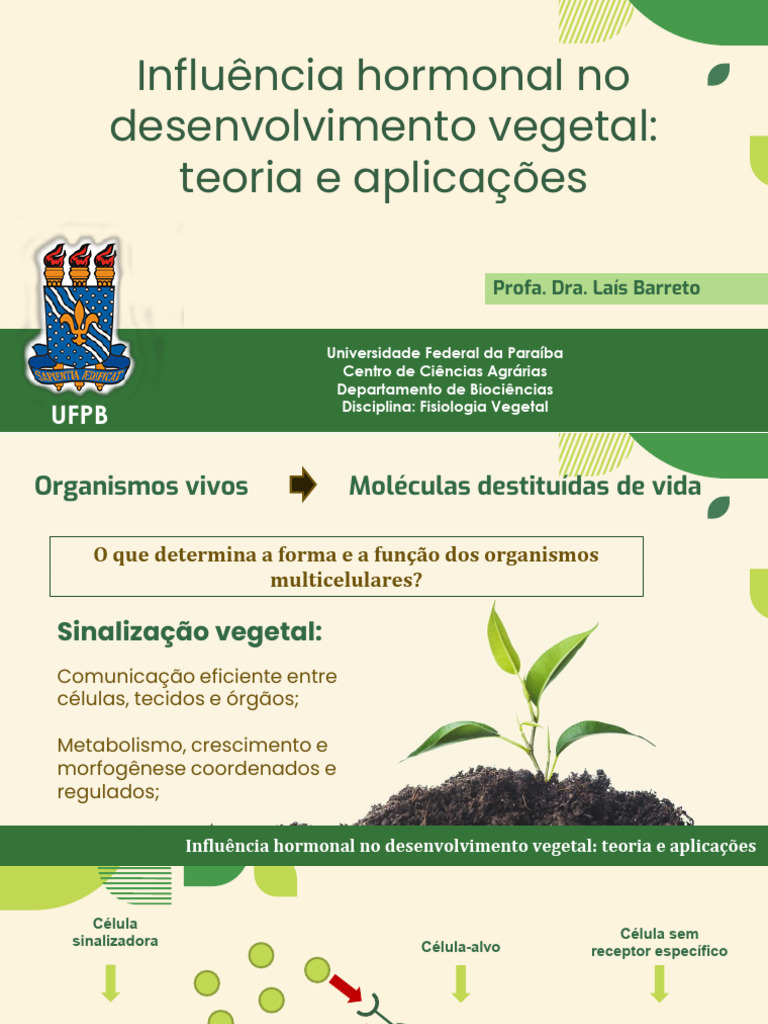 Hormônios Vegetais | PDF | Auxinas | Botânica