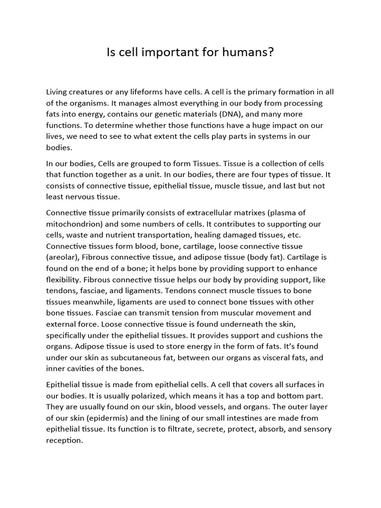 Is Cell Important For Humans | PDF | Connective Tissue | Tissue (Biology)