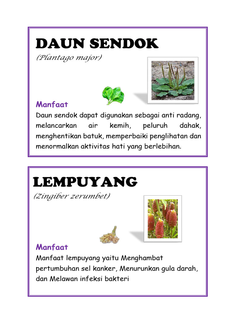 Revisi Label Toga | PDF