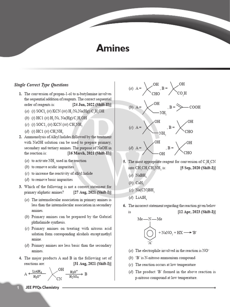Amines - PYQ Practice Sheet | Download Free PDF | Amine | Methyl Group