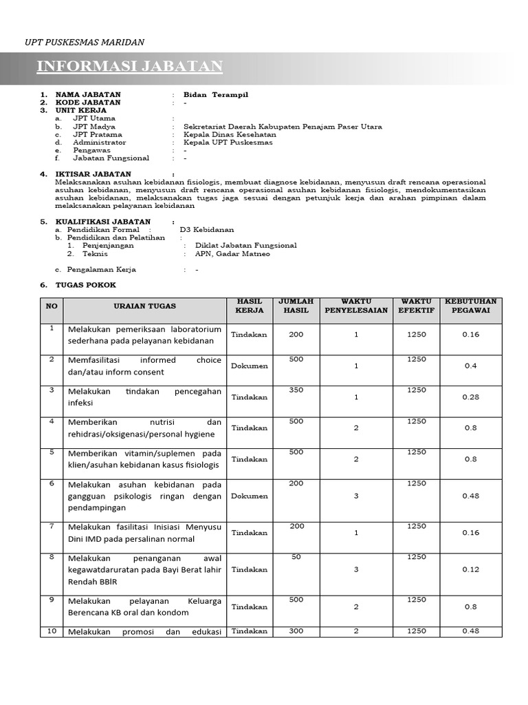 Anjab Bidan Terampil 2024 | PDF