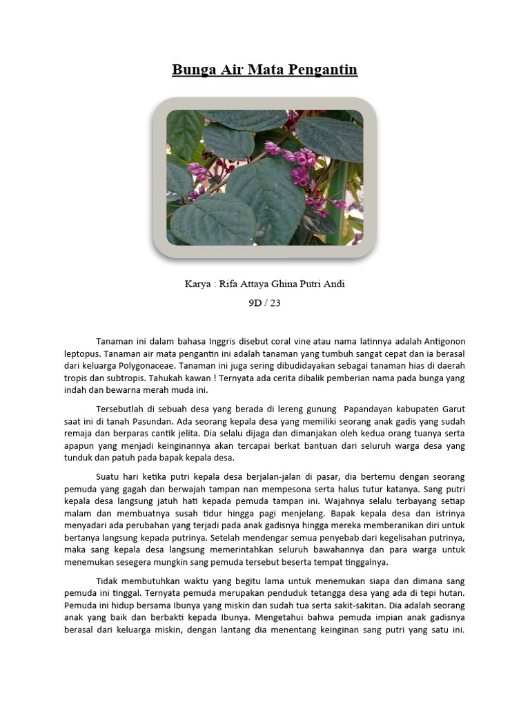 Bunga Air Mata Pengantin | PDF