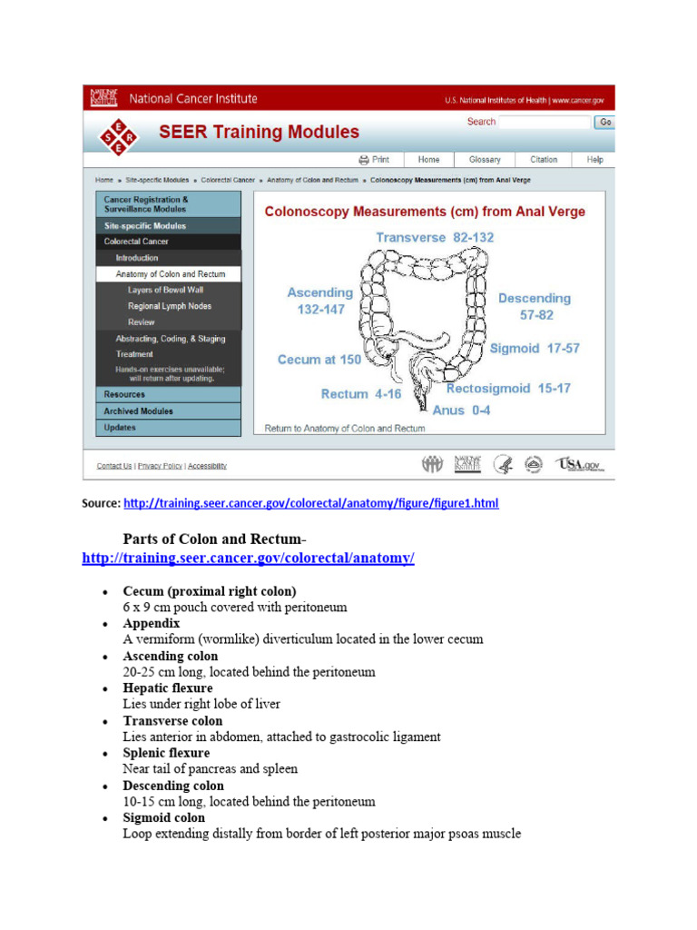 Sigmoid Colon Length and Anatomy | PDF | Large Intestine | Rectum