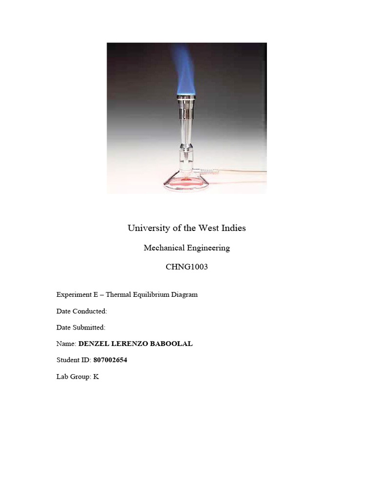 Denzel Thermal Equilibrium Lab | PDF