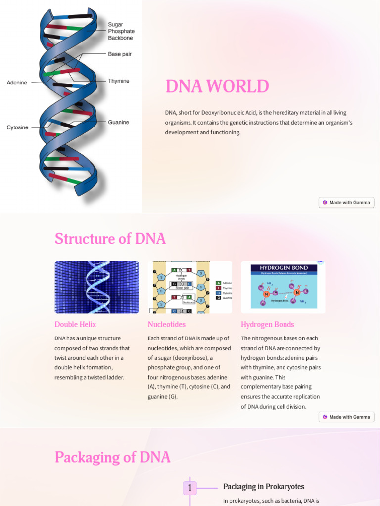 Dna World | PDF