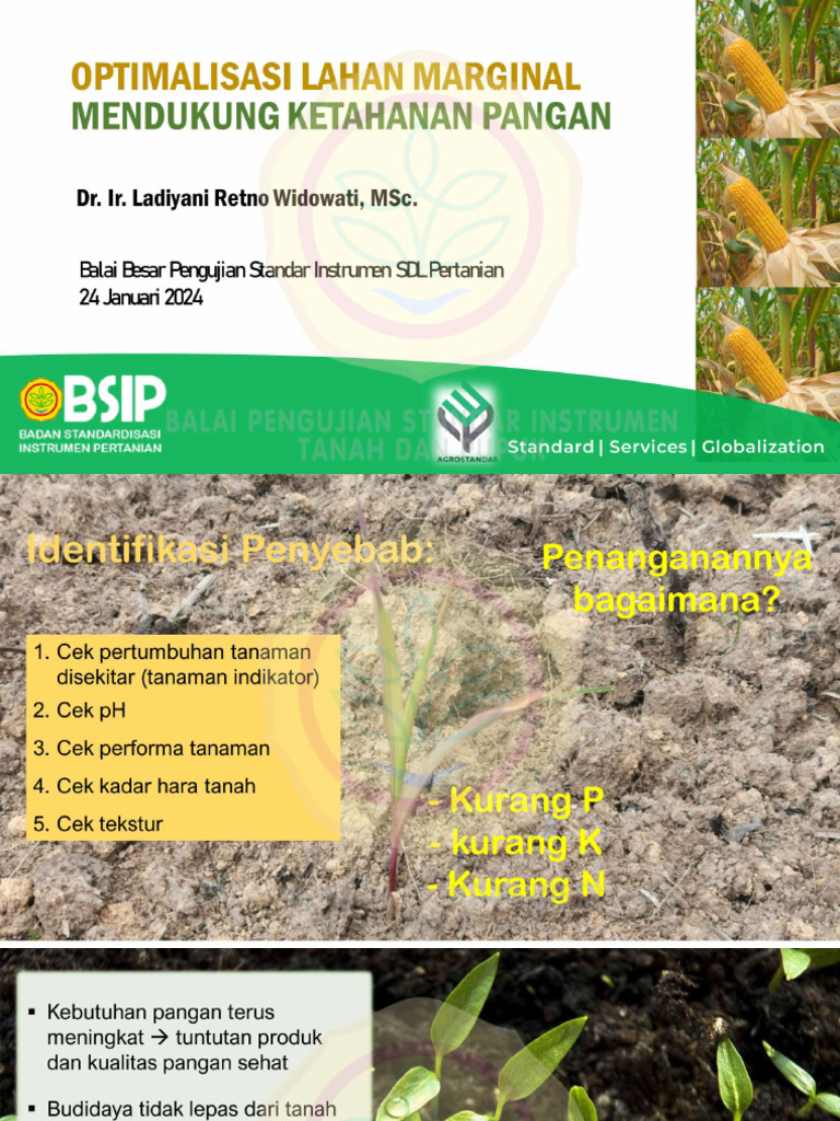 Seri 1 - Optimalisasi Lahan Marginal - Bimtek 24.01.2023 | PDF