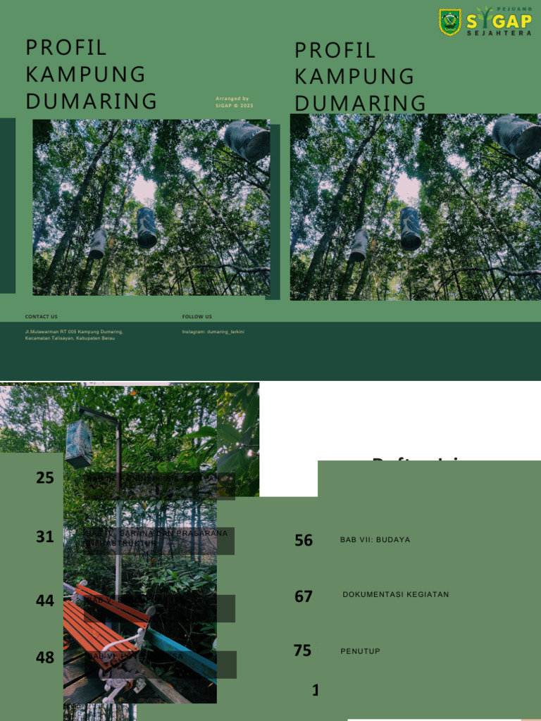 Profil Kampung Dumaring Fix | PDF