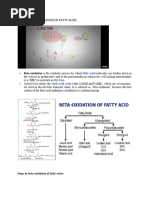 Rocor NB Liquid 25 LTR | PDF | Redox | Nitrate