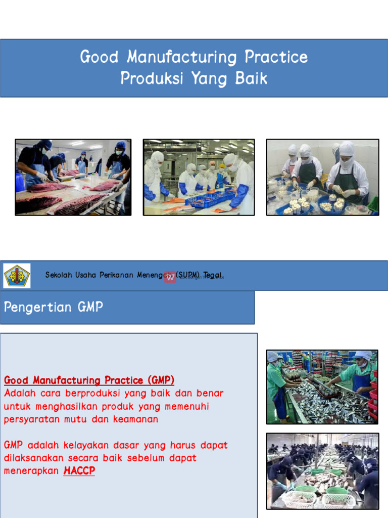 Ppt. GMP | PDF | Kesehatan Holistik