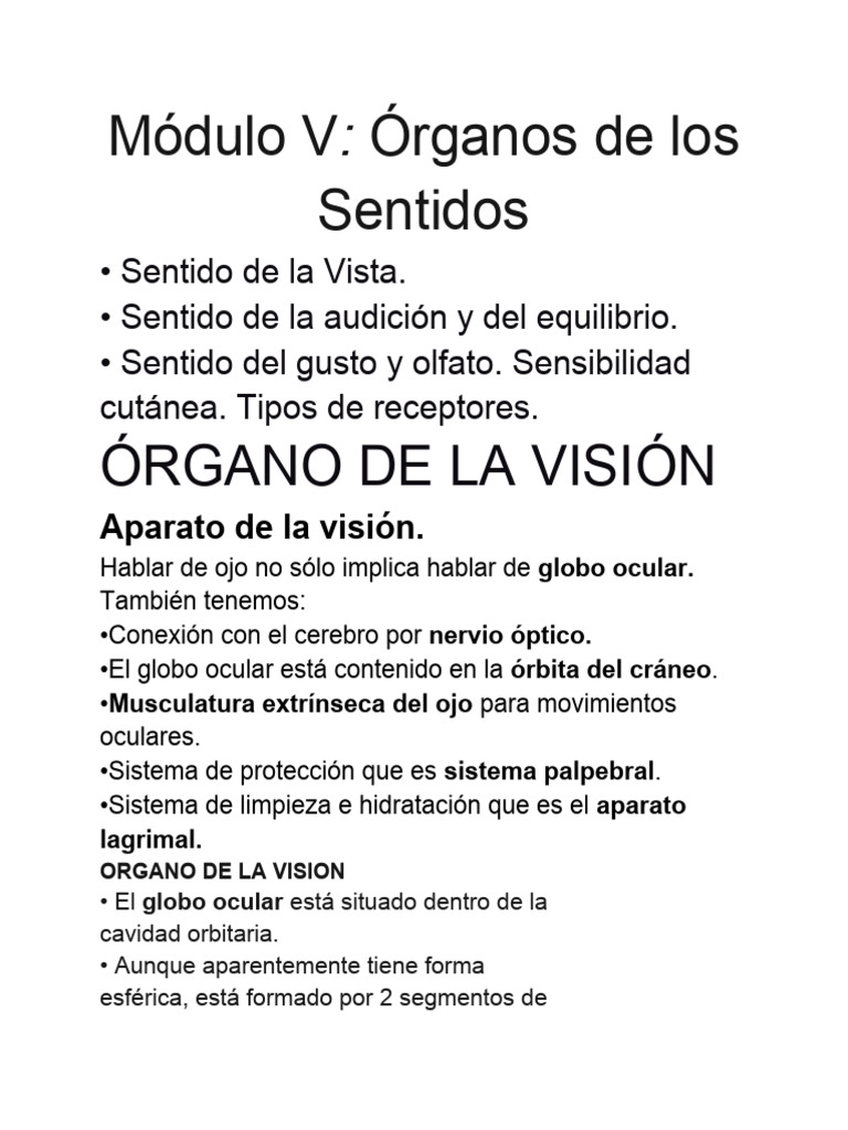 Órgano de La Visión Anatomía | PDF | Ojo humano | Percepción visual