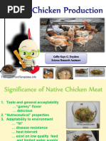 Native Chicken Breeds in the Philippines | PDF | Chicken | Poultry Farming