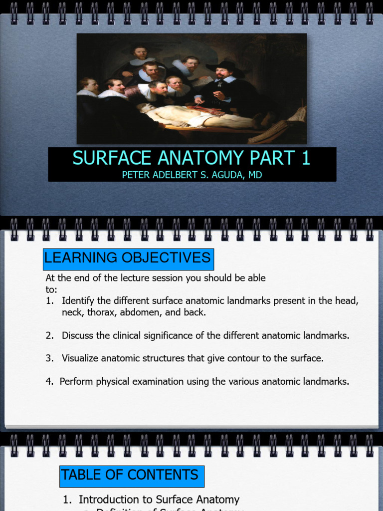Surface Anatomy Part 1 Head and Neck Copy 2022 | PDF | Neck | Common ...