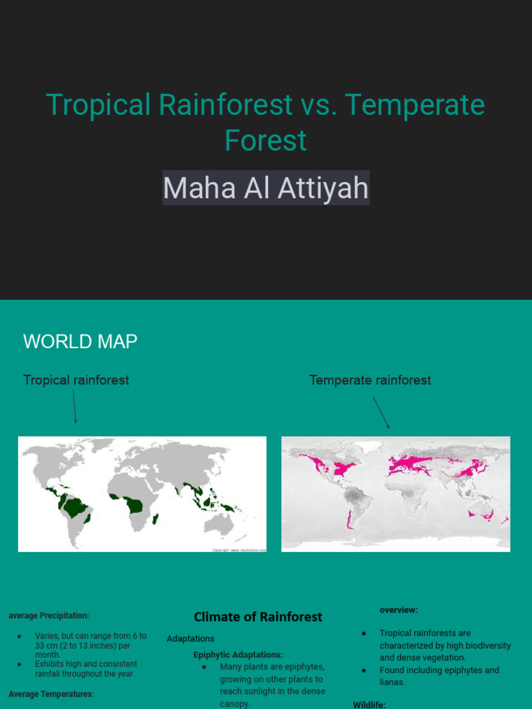 Tropical Rainforest vs. Temperate Forest | PDF