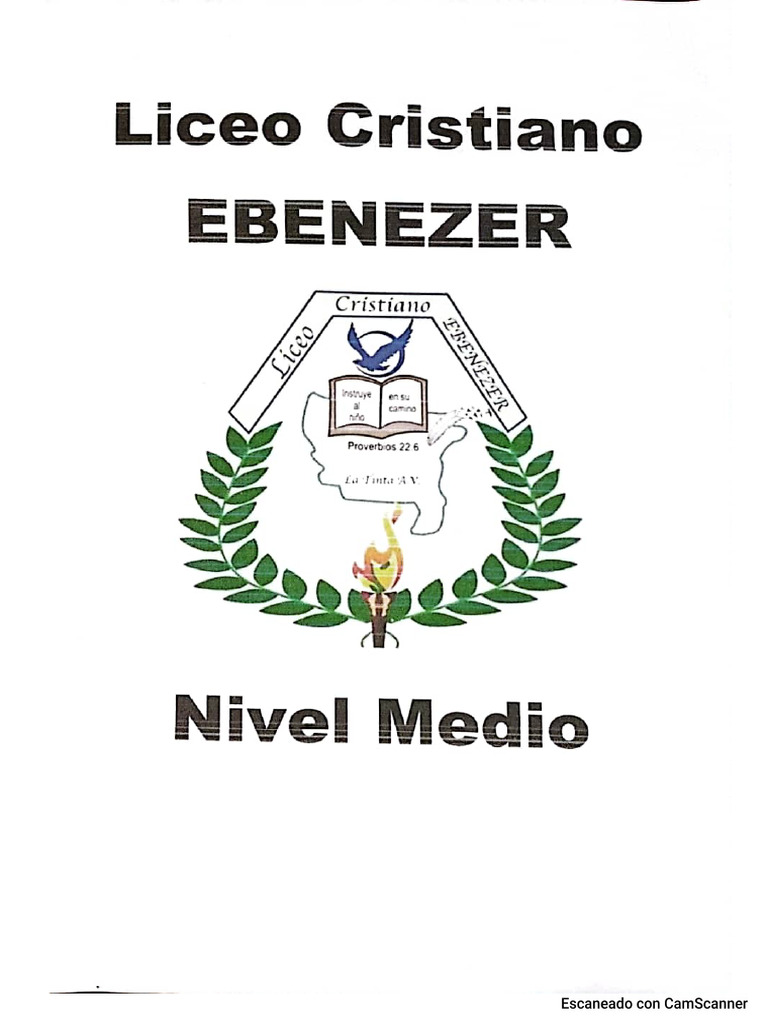 Plan de Proyecto Gobierno Escolar Nivem Medio 2023 | PDF