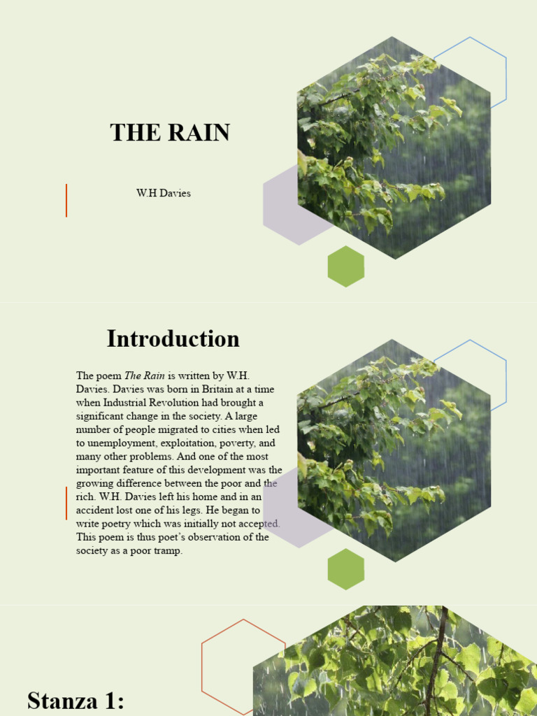 The Rain | PDF