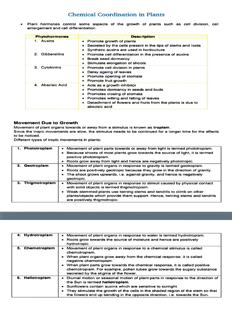 Chemical Coordination in Plants | Download Free PDF | Plant Hormone | Auxin