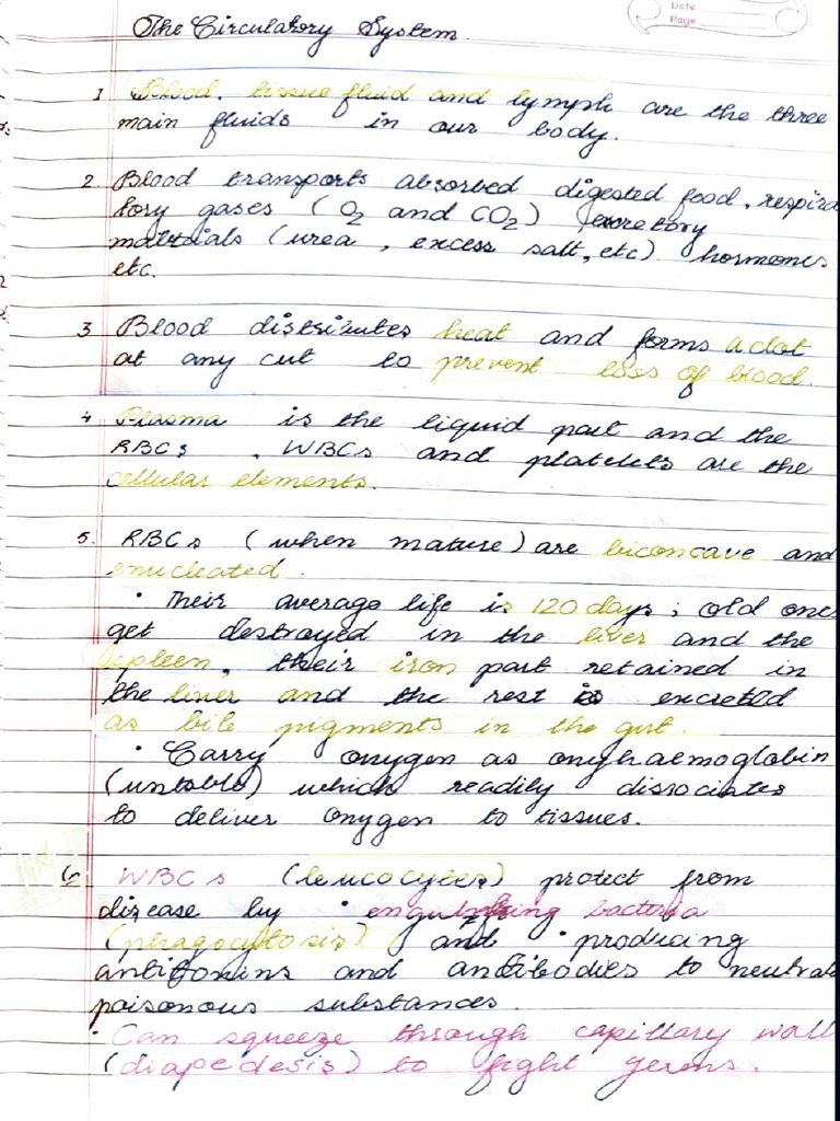 Circulatory System Notes | PDF | Blood | Cardiovascular Physiology