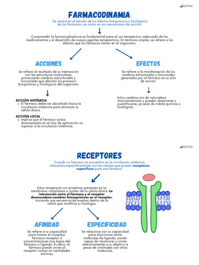 Mapas 2 | PDF | Receptor (Bioquímica) | Transducción de señales
