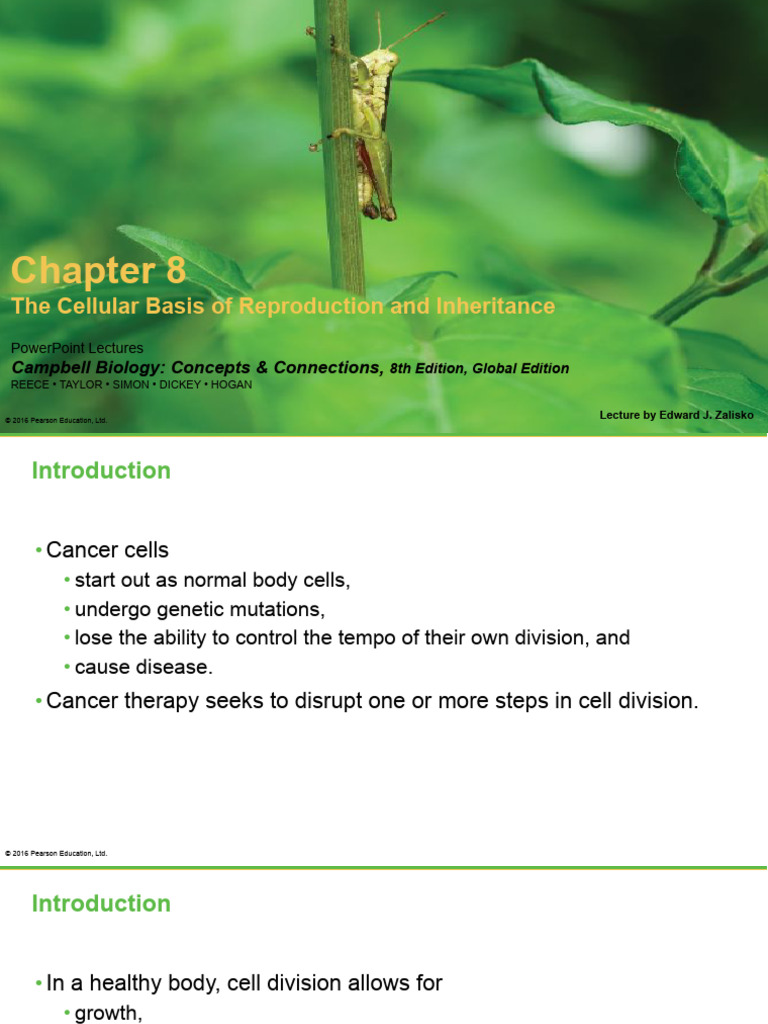 Chapter 8 - Part1 | PDF