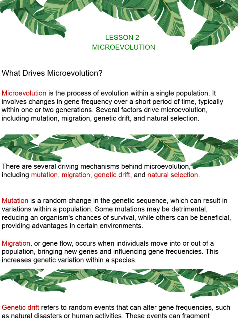 What Drives Mic-WPS Office | PDF | Genetics | Natural Selection