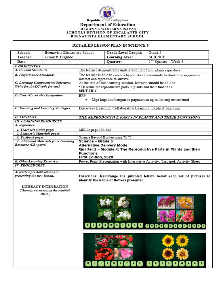 Reproductive Parts of Plants: Grade 5 Lesson | PDF | Flowers | Plant ...