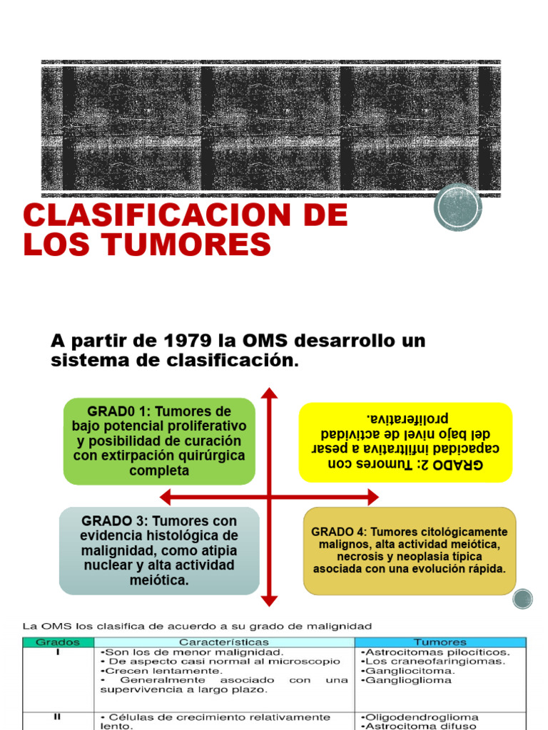 Clasificacion de Los Tumores | PDF | Cáncer | Neoplasias