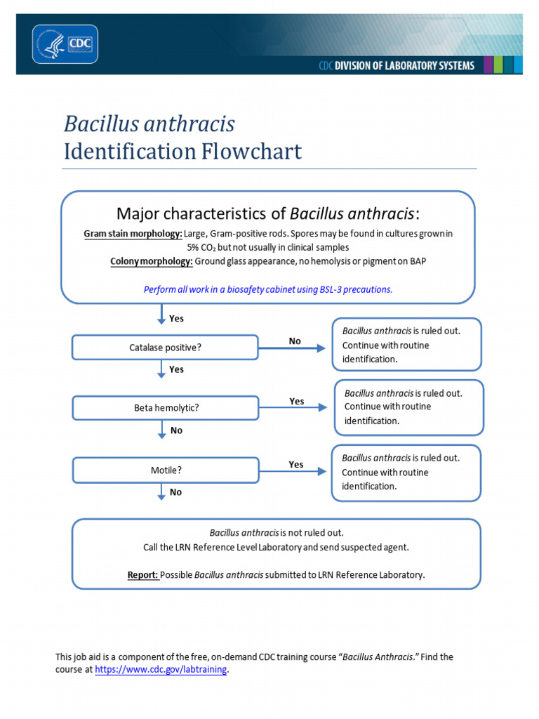 Anthrax Flowchart PDF 508 Branded | PDF