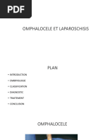 Cours-No 05 - Éventration, Éviscération | PDF | Spécialités médicales ...