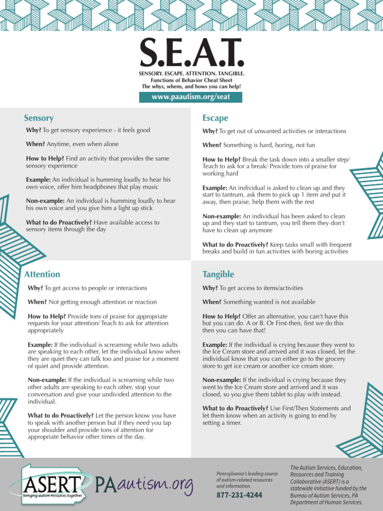 Autism Behavior Support Guide | PDF | Attention | Cognition